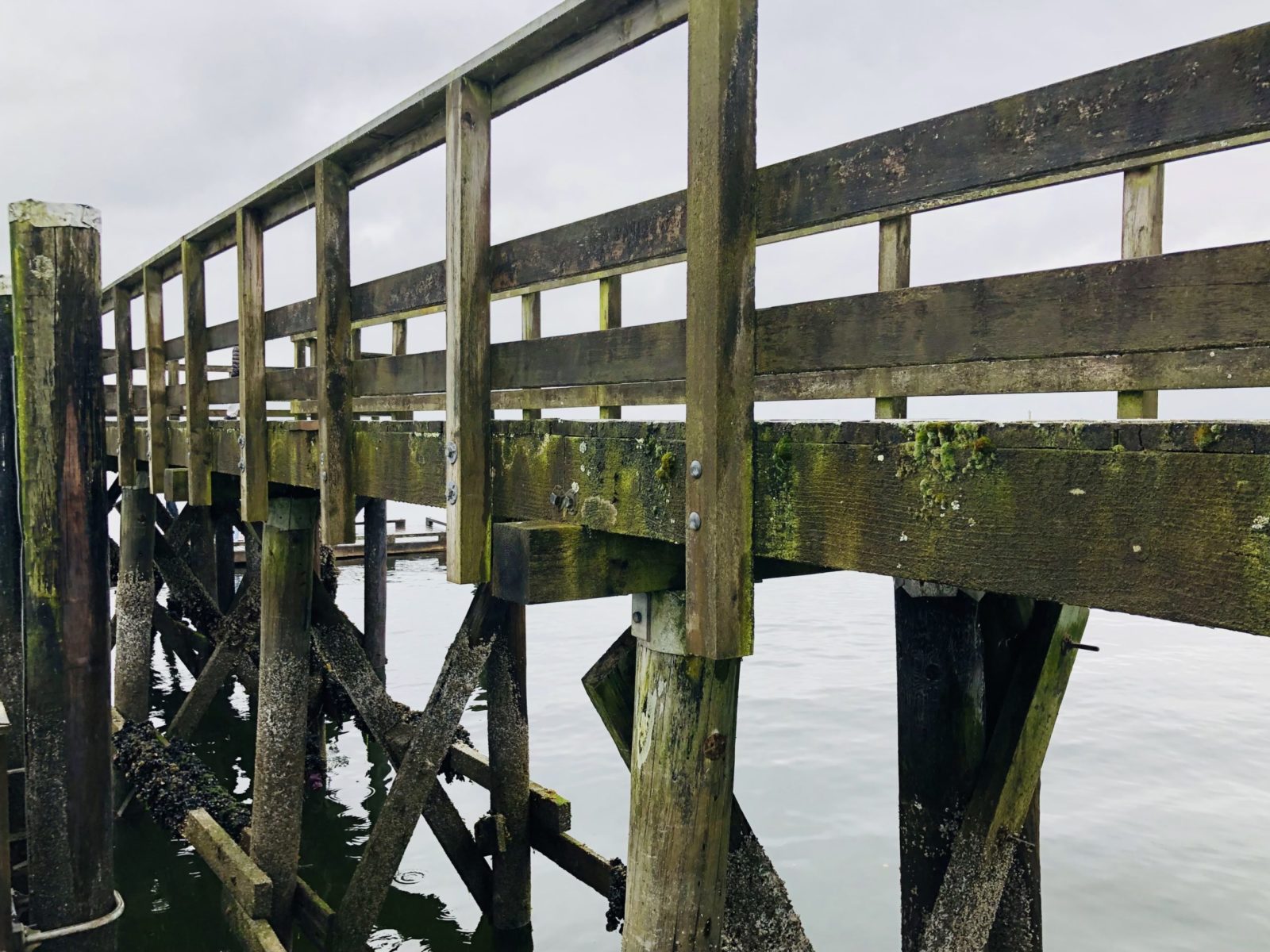 Belcarra成功捕蟹記 • 抓蟹準備清單 • 高貴林韓國村Hanin Village & Koreatown – Keirvannah ...